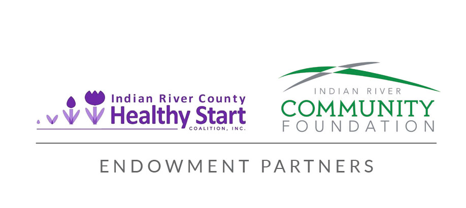 Endowment Partner Spotlight: Indian River County Healthy Start | Indian ...